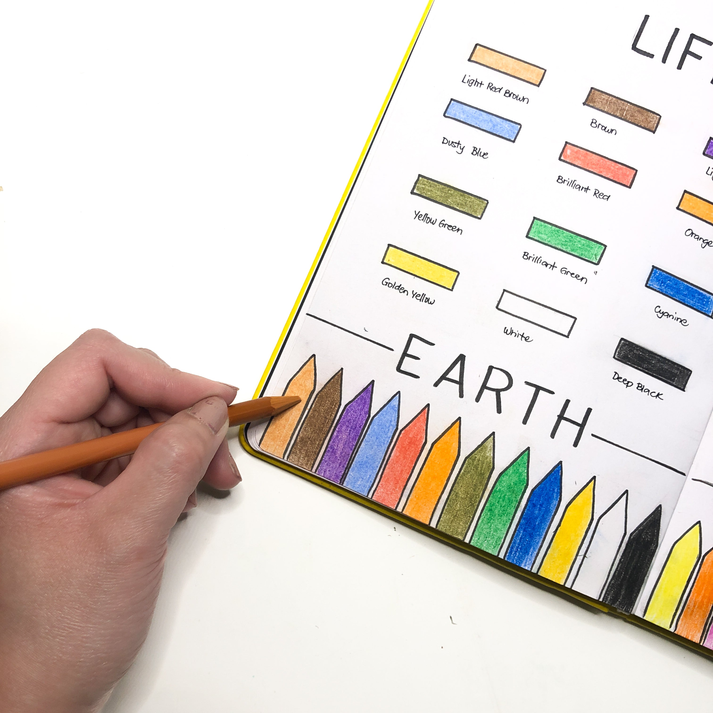 12 Woodless Pastel Pencils Earth Colours for colouring, shading ...