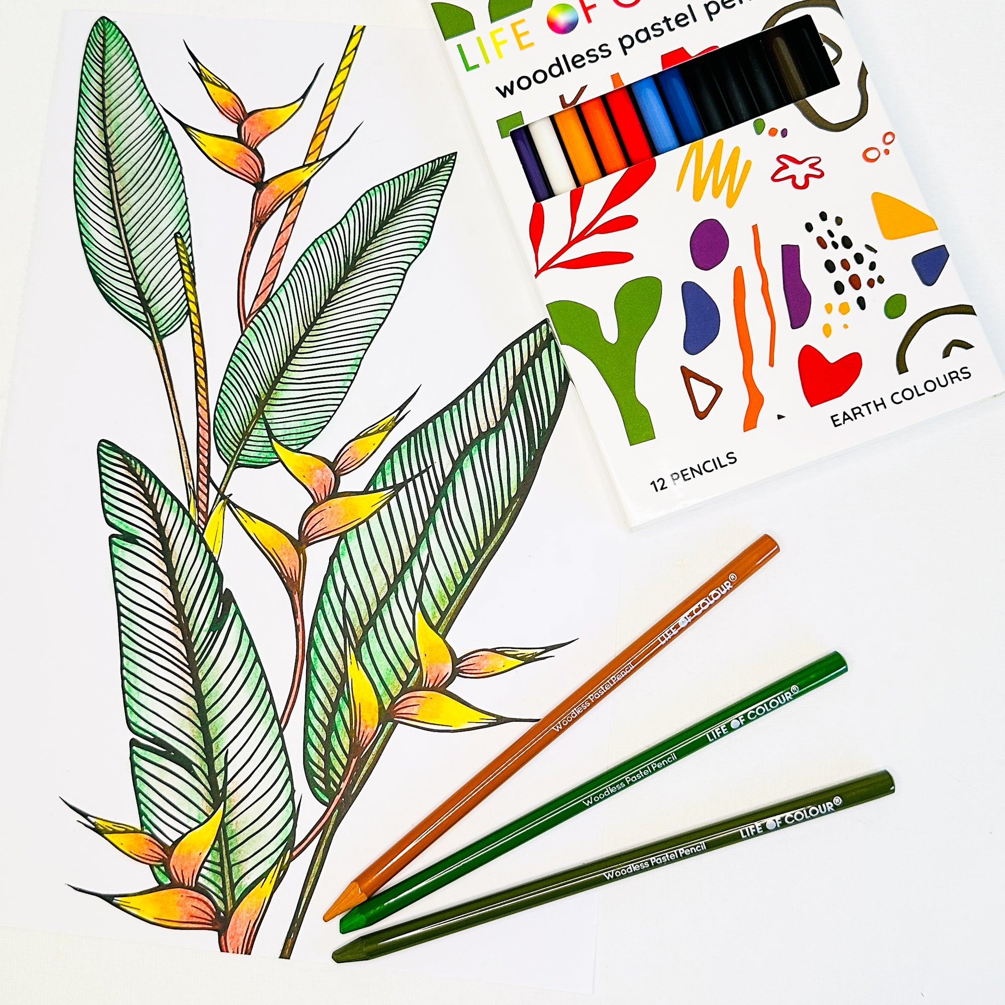 12 Woodless Pastel Pencils Earth Colours for colouring, shading ...